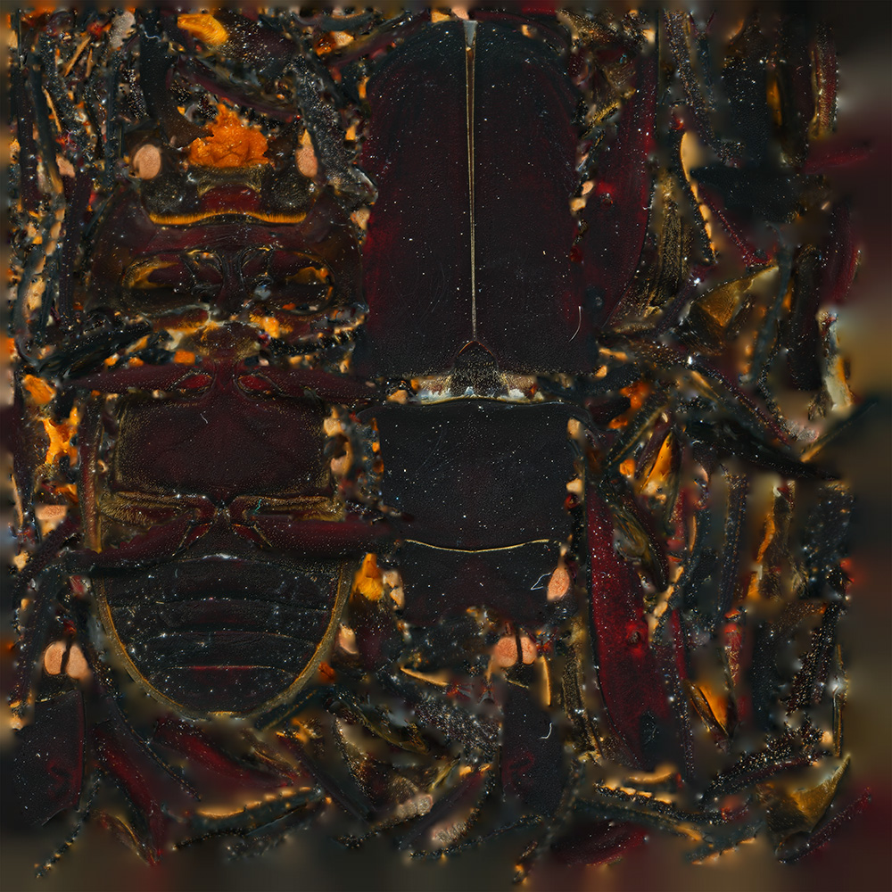 Stag Beetle - 3D model by Rigsters [672c2f0] - Sketchfab